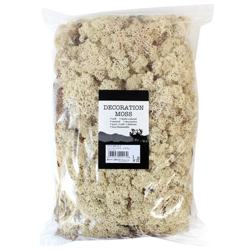 本体サイズ:約500g