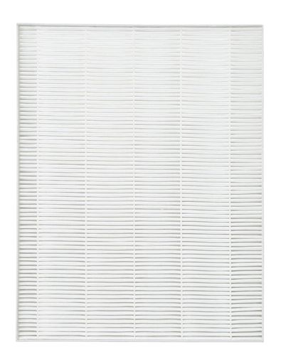 PM2.5、ハウスダスト、花粉などの空気の汚れ(0.3ミクロン以上の微小粒子)を99.97%以上キャッチします 交換用TRUEHEPAフィルター1枚入り。約1年分 対応機種品番:93948019433101 対応機種商品名:フェローズ空気清...
