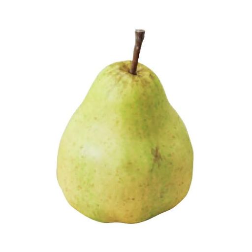 サイズ(約):W8cmxH11cm 入数:1本 材質:ポリスチレン(発泡スチロール)