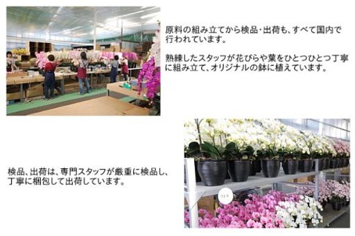 商品サイズ (幅x奥行x高さ) :レンズサイズ:φ30mm、ネックチェーン長さ:60cm+アジャスター10cm 原産国:日本 内容量:1個