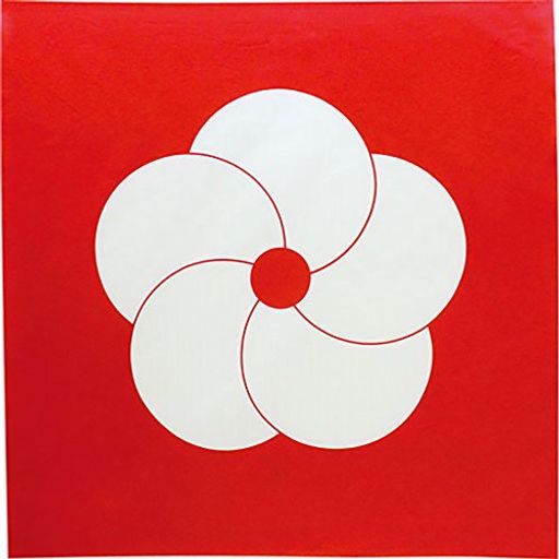 【サイズ】約70x70cmの菓子折りなどの贈り物を包むのにちょうど良い大きさ。 【おすすめシーン】フォーマルからカジュアルまで、和洋問わず様々なお祝い事やイベントでのギフトラッピングにご利用いただけるので、引出物・内祝・還暦などの歳祝いなど...