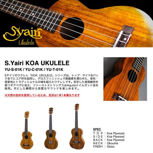 トップ/サイド/バック全てにコア材を採用し、グロスフィニッシュで高級感を漂わせたソプラノタイプウクレレ 安定した音程維持を保つギアペグに加え、ファーストストリングスはAquilaナイルガット弦を採用 持ち運びや保管時にも便利なギグケースが付...