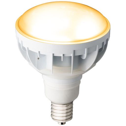 店舗照明 16356 ビーム電球形LEDランプ 屋外使用可30W 電球色全光束3700lm 口金E39