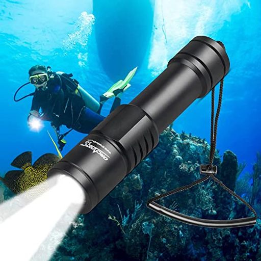 1000ルーメン超高輝度ダイビングライト:高品質のCREE XM-L2(U4) LEDを採用し、最大1000ルーメンの明るさを実現。水中の生物を鮮明に観察できるため、D550はダイバーへの理想的なギフトです。 磁気スイッチ:交換可能なマグネ...