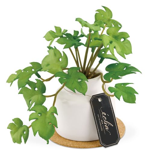 ホームデコレーション ●商品サイズ:幅14x奥行16.5x高さ14.5cm●商品重量:200g ●素材:ポリエチレン、陶器、コルク ■空気を綺麗にするCT触媒加工を施したフェイクグリーンです ■人工観葉植物なので、手間もかけず、お部屋のイン...