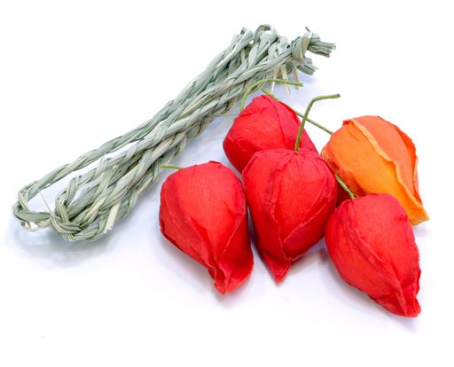 セット内容:ほおずき(約Φ4cm)5個・縄135cm どの地域でも使える基本的なお盆飾り。ほおずきのお飾りです。 飾る期間は、8月13日~16日。盆明けの送り火が終わった16日の夕方に片付けます。 【ご注意】生産の都合上、デザインや仕様等予...