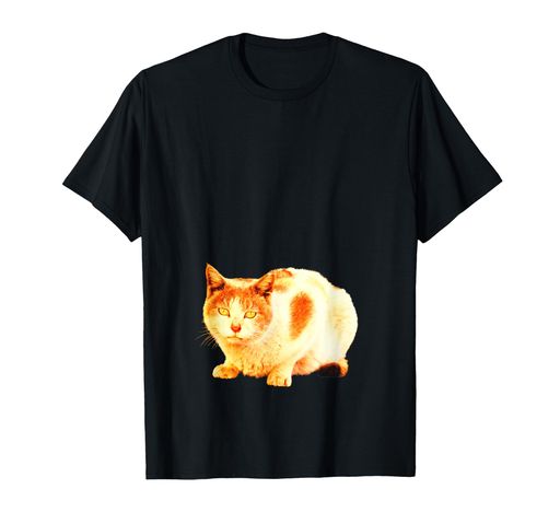 野良猫 001 のらねこ 三毛猫 白茶灰色 山下埠頭 カラーフォト 野良猫 001 のらねこ 三毛猫 白茶灰色 山下埠頭 カラーフォト