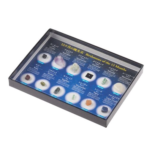 ブック型標本セット 箱のサイズ:210x150x20mm 内容:ガーネット、アメジスト、アクアマリン、ダイアモンド、エメラルド、ムーンストーン、ルビー、ペリドット、サファイア、トルマリン、トパーズ、ラピスラジュリ 結晶鉱物の原石がそろった貴...