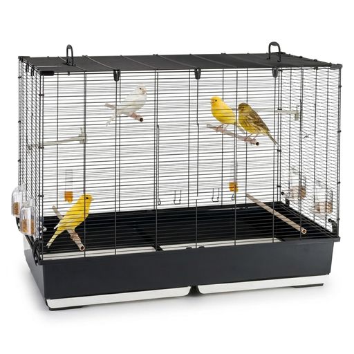 インドア カナリア、セキセイインコなどがすぐに飼育できるフルセットです。 えさ入れや水のみ容器やとまり木、などセットになっていますので、鳥も退屈することなく過ごすことができます。 360度全ての角度から小鳥の様子が伺えますので、楽しくコミュ...