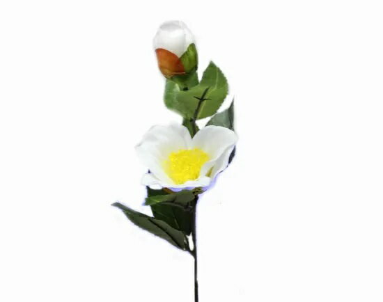 花径約3~.7xL40cm
