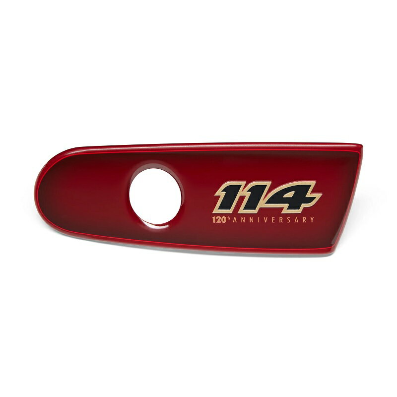 このエアクリーナートリムは、ハーレーダビッドソン120周年記念の限定モデルにも標準装備されています。レッドフェード仕上げに、ゴールドとブラックのアクセントがさりげなく入っています。オリジナル・イクイップメントのウェッジシェイプ・エアクリーナ...