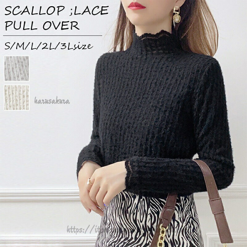 レーストップスレースブラウス長袖総レー トップス シャツ ブラウス 新登場! S M L 2L 2XL(3L) 杏 ホワイト ホワイト(裹起毛) 杏(裹起毛)