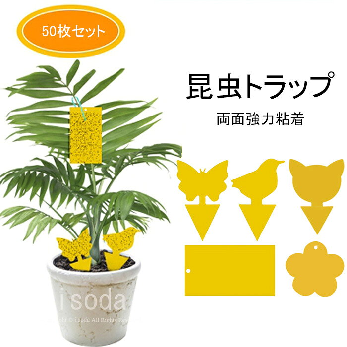 Item Information商品名仕様50枚セット説明☆使いやすさ鋭い底のミバエトラップは、土壌に直接挿入できるので、ロープやフックを結ぶ手間が省けます。☆黄色の粘着性トラップ明るい色は飛んでいる昆虫を引き付け、高品質の接着剤はそれらが...