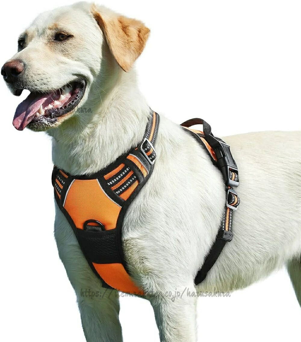 大型犬 安心散歩 犬 ラブラドール ゴ 犬用品 首輪 胴輪 リード その他 新作 オレンジ レッド ブラック グリーン