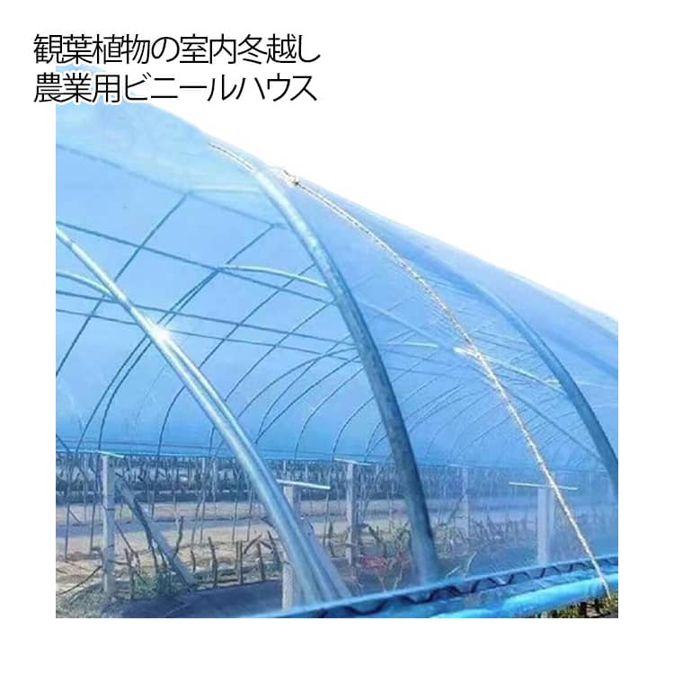 厚み0.14mm/幅6m/長さ10m観葉植物の室内冬越し 農業用ビニールハウス優れた保温力と耐久性がありトンネル栽培や雨よけ栽培に最適なフィルムです。高い強度と透明性。流滴性に優れ、光を良く通します。優れた透明性を維持するので長期展張でも問...