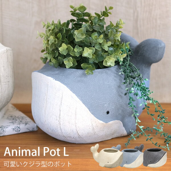 商品説明 ぽってりとした丸みのある存在感のあるクジラのポットです。 クジラの背に育つ植物が、より一層可愛く見え、素敵に飾ることができます。 置くだけで インテリアとしてもオシャレなアイテムです。 アンティーク調の使い込まれ たような風合いで...