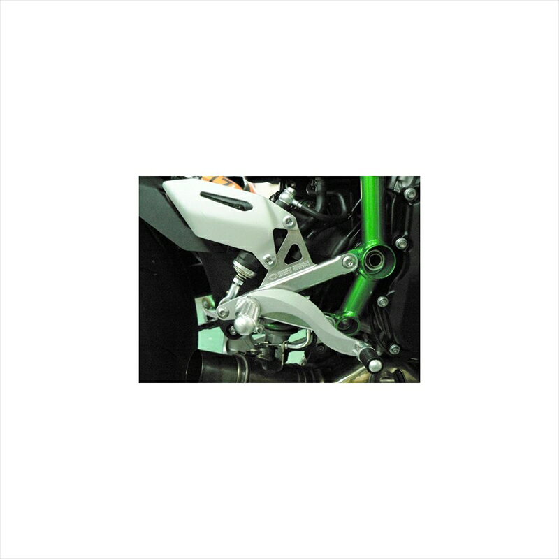 ■メーカー名：BEET(ビート) ■メーカー品番：0111-KD1-20 ■JAN：4582346462224 ・適合車種：Ninja H2 15- 1ポジション BACK/UP 10/10mm適応車両 ：＜br＞ Ninja H2＜br＞...