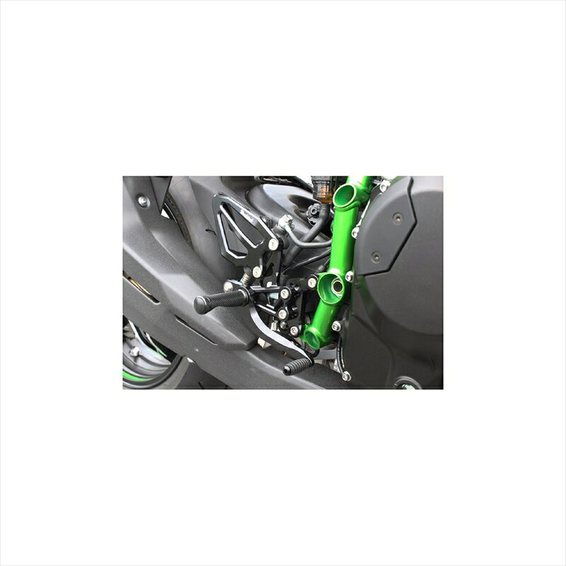 ■メーカー名：WOODSTOCK(ウッドストック) ■メーカー品番：WBS-K32-GD ■JAN：4549950331216 ・適合車種：Ninja H2 STDペダル 対応車種：Ninja H2 15- ＜br＞ ＜br＞ ポジション：...
