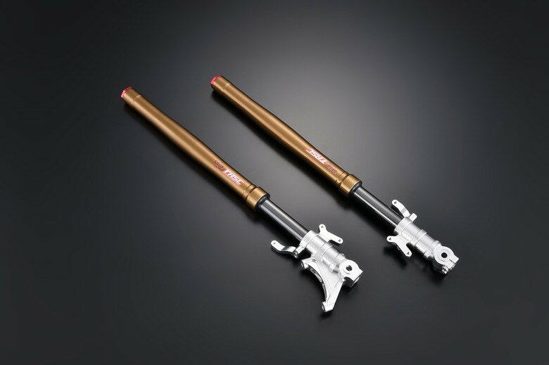 【OVER RACING】オーバーレーシング Technix TASC GROM■カタログ品番：P102-7826■メーカー品番：87-221-21■JAN：4539770120480適応車両：GROM ◆TECHNIXではTASCキットを...