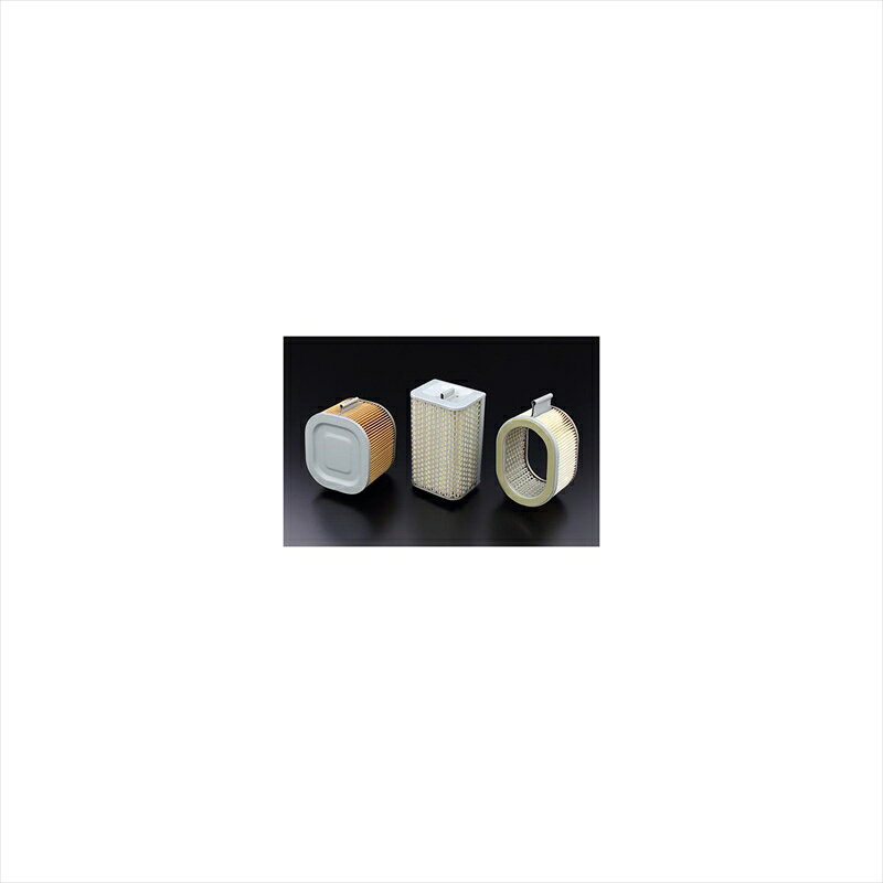 ■メーカー名：PMC(ピーエムシー) ■メーカー品番：81-2160 ■JAN：4547567993087 ・適応車両：Z1/2 OEMリプレイスメント。内燃機エンジンには不可欠な部品で、目詰りが起きると確実にエンジン不調をきたします。定期...