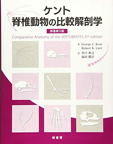 【お届け日について】お届け日の"指定なし"で、記載の最短日より早くお届けできる場合が多いです。お品物をなるべく早くお受け取りしたい場合は、お届け日を"指定なし"にてご注文ください。お届け日をご指定頂いた場合、ご注文後の変更はできかねます。【...