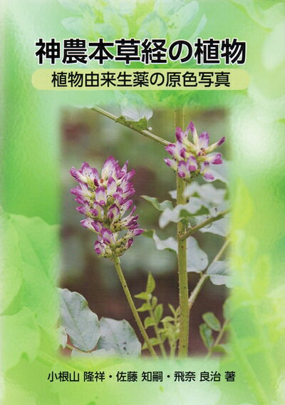 【お届け日について】お届け日の"指定なし"で、記載の最短日より早くお届けできる場合が多いです。お品物をなるべく早くお受け取りしたい場合は、お届け日を"指定なし"にてご注文ください。お届け日をご指定頂いた場合、ご注文後の変更はできかねます。【...
