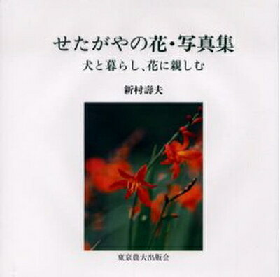 【お届け日について】お届け日の"指定なし"で、記載の最短日より早くお届けできる場合が多いです。お品物をなるべく早くお受け取りしたい場合は、お届け日を"指定なし"にてご注文ください。お届け日をご指定頂いた場合、ご注文後の変更はできかねます。【...