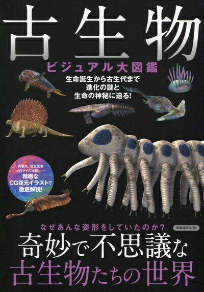 【お届け日について】お届け日の"指定なし"で、記載の最短日より早くお届けできる場合が多いです。お品物をなるべく早くお受け取りしたい場合は、お届け日を"指定なし"にてご注文ください。お届け日をご指定頂いた場合、ご注文後の変更はできかねます。【...