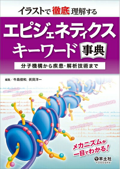 【お届け日について】お届け日の"指定なし"で、記載の最短日より早くお届けできる場合が多いです。お品物をなるべく早くお受け取りしたい場合は、お届け日を"指定なし"にてご注文ください。お届け日をご指定頂いた場合、ご注文後の変更はできかねます。【...