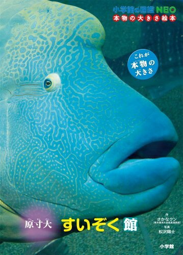 【お届け日について】お届け日の"指定なし"で、記載の最短日より早くお届けできる場合が多いです。お品物をなるべく早くお受け取りしたい場合は、お届け日を"指定なし"にてご注文ください。お届け日をご指定頂いた場合、ご注文後の変更はできかねます。【...