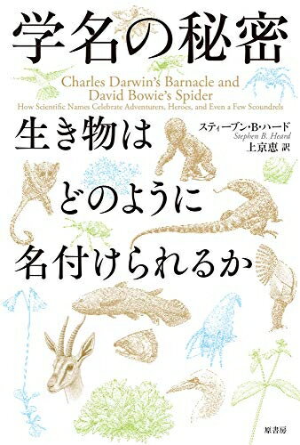 【お届け日について】お届け日の"指定なし"で、記載の最短日より早くお届けできる場合が多いです。お品物をなるべく早くお受け取りしたい場合は、お届け日を"指定なし"にてご注文ください。お届け日をご指定頂いた場合、ご注文後の変更はできかねます。【...