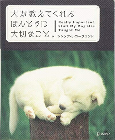 【お届け日について】お届け日の"指定なし"で、記載の最短日より早くお届けできる場合が多いです。お品物をなるべく早くお受け取りしたい場合は、お届け日を"指定なし"にてご注文ください。お届け日をご指定頂いた場合、ご注文後の変更はできかねます。【...