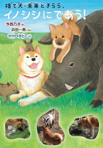 【お届け日について】お届け日の"指定なし"で、記載の最短日より早くお届けできる場合が多いです。お品物をなるべく早くお受け取りしたい場合は、お届け日を"指定なし"にてご注文ください。お届け日をご指定頂いた場合、ご注文後の変更はできかねます。【...