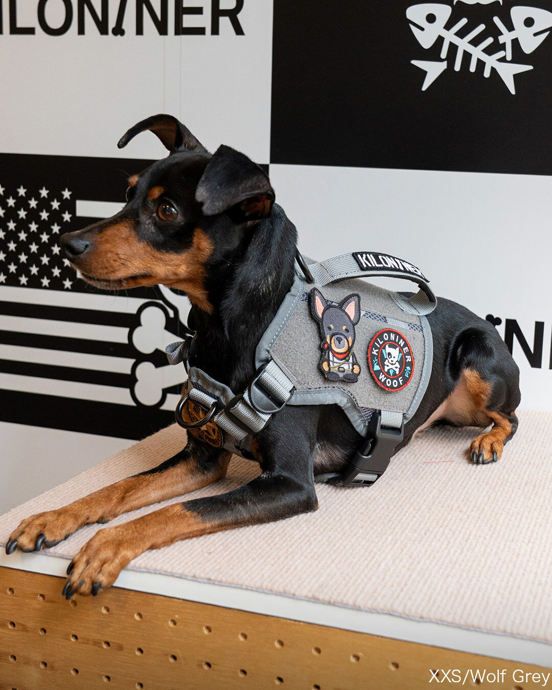 KILONINER TOP ＞ 商品一覧 ＞ ハーネス ＞ m4 KILONINER TOP ＞ 商品一覧 ＞ ハーネス ＞ 中型犬 KILONINER TOP ＞ 商品一覧 ＞ ハーネス ＞ 大型犬 商品名【KILONINER 】M3A ...