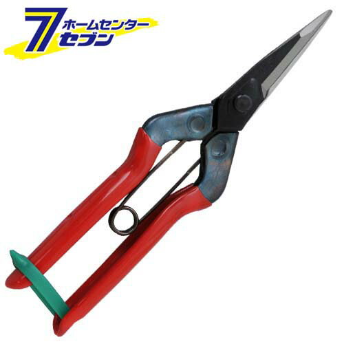 「近正　新潟支店 大型摘果鋏 T-601K 」は株式会社ホームセンターセブンが販売しております。メーカー近正　新潟支店品名大型摘果鋏 T-601K 品番又はJANコードJAN:4967645011418サイズ重量140商品説明●野菜、果実の...