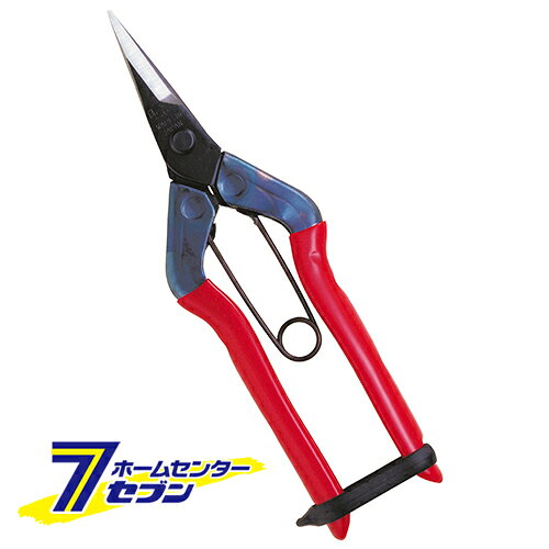 「近正　新潟支店 摘果鋏 T-501 」は株式会社ホームセンターセブンが販売しております。メーカー近正　新潟支店品名摘果鋏 T-501 品番又はJANコードJAN:4967645042702サイズ重量11商品説明●刃の側面研磨により収穫物を...