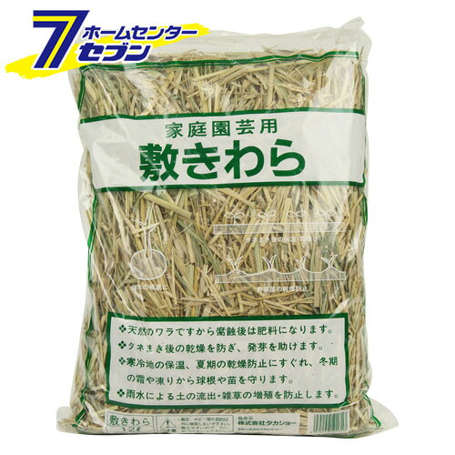 「敷キワラ ヘッダーナシ 12L タカショー [園芸用品 農業資材 ロープ]」は、株式会社ホームセンターセブンが販売しております。メーカータカショー品名敷キワラ ヘッダーナシ 12L 品番又はJANコードJAN:4975149501717サ...