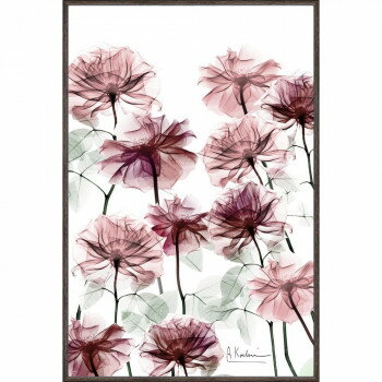 ※パッケージ、デザイン等は予告なく変更される場合があります。※画像はイメージです。商品タイトルと一致しない場合があります。オランダ生まれ。幼少の頃より写真に興味を持ち仕事で出会ったX線に魅了され、クリエイティブな作品を作り続ける。現在はカリ...