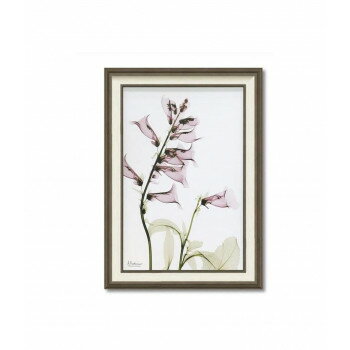 ※パッケージ、デザイン等は予告なく変更される場合があります。※画像はイメージです。商品タイトルと一致しない場合があります。絵と額がセットになった商品です。サイズ外寸:W50×H70cm個装サイズ：4.0×71.0×51.0cm重量個装重量：...