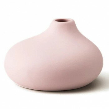 ※パッケージ、デザイン等は予告なく変更される場合があります。※画像はイメージです。商品タイトルと一致しない場合があります。小ぶりなサイズのフラワーベースは、お花初心者にもおすすめです。お気に入りの草花を一、二輪挿すだけで、雰囲気良く飾ること...