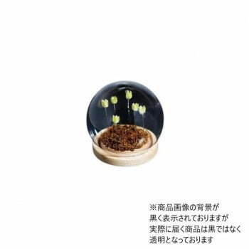 ※パッケージ、デザイン等は予告なく変更される場合があります。※画像はイメージです。商品タイトルと一致しない場合があります。フラワーガラスドームです。サイズΦ115×H115mm個装サイズ：12.5×12.5×13.0cm重量個装重量：175...