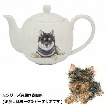 ※パッケージ、デザイン等は予告なく変更される場合があります。※画像はイメージです。商品タイトルと一致しない場合があります。緑茶も紅茶もOK。ステンレス茶こし付のポットです。ご自分用、プレゼントにもおすすめのかわいい丸型ポットです。サイズ縦1...