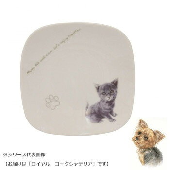 ※パッケージ、デザイン等は予告なく変更される場合があります。※画像はイメージです。商品タイトルと一致しない場合があります。おしゃれな角丸、深さのあるプレートです。ご自分用、プレゼントにもオススメになっております。サイズ縦15.4×横15.4...