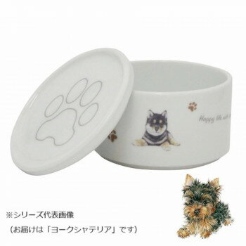 ※パッケージ、デザイン等は予告なく変更される場合があります。※画像はイメージです。商品タイトルと一致しない場合があります。重ねて収納しやすく、蓋はお皿としても使えるスタッカーです。蓋をしたまま、蓋なしでもスタックできます。ご自分用、プレゼン...