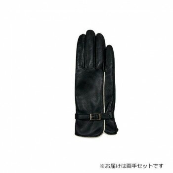 ※パッケージ、デザイン等は予告なく変更される場合があります。※画像はイメージです。商品タイトルと一致しない場合があります。婦人用羊革手袋です。シンプルなデザインで使いやすいです。サイズ婦人22cm個装サイズ：23×9×1cm重量個装重量：6...