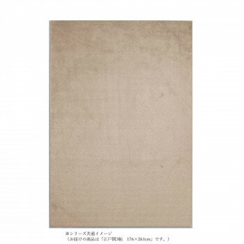 ※パッケージ、デザイン等は予告なく変更される場合があります。※画像はイメージです。商品タイトルと一致しない場合があります。アレルギーが気になる方におすすめの抗アレルゲン、防ダニ加工を施した高機能カーペットです。サイズ176×261cm、パイ...