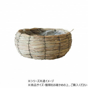 ※パッケージ、デザイン等は予告なく変更される場合があります。※画像はイメージです。商品タイトルと一致しない場合があります。MH浅丸クールのフラワーバスケットです。サイズΦ33×H13cm、口径:Φ27cm個装サイズ：31.5×31.2×12...