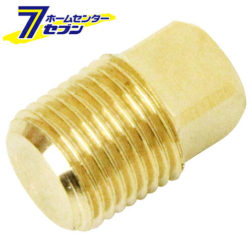 「四角プラグ 1M NP-1001 0790 藤原産業 [電動工具 エアーツール 配管継ぎ手 ねじ]」は、株式会社ホームセンターセブンが販売しております。メーカー藤原産業品名四角プラグ 1M NP-1001 0790品番又はJANコードJA...