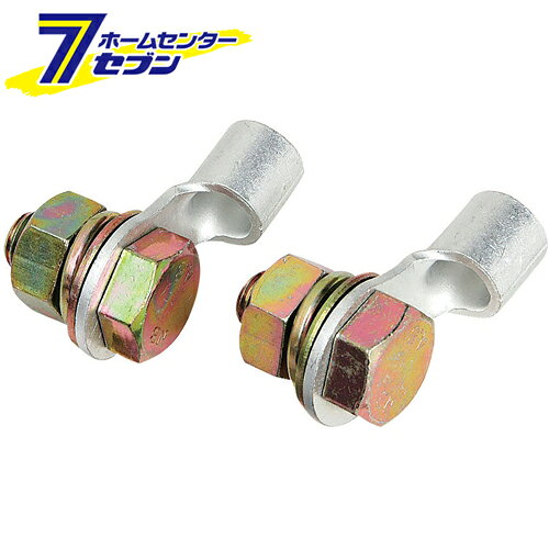 「接続端子38sq-10 2組 P-72 スター電器製造 [電動工具 溶接 溶接用アクセサリー]」は、株式会社ホームセンターセブンが販売しております。メーカースター電器製造品名接続端子38sq-10 2組 P-72 品番又はJANコードJA...