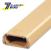 「ELPA ABSモール 壁用 2号 1m ブラウン 」は株式会社ホームセンターセブンが販売しております。メーカーELPA品名ABSモール 壁用 2号 1m ブラウン 品番又はJANコードJAN:4901087069941サイズ-重量84商...